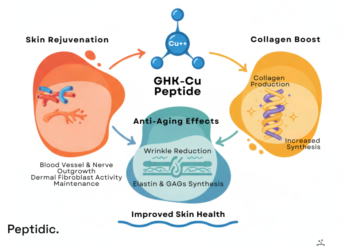 How Does GHK-Cu Improve Skin Health, Reduce Wrinkles, and Increase Col ...
